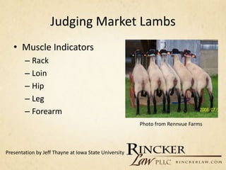 Overview of Livestock Judging | PPTX