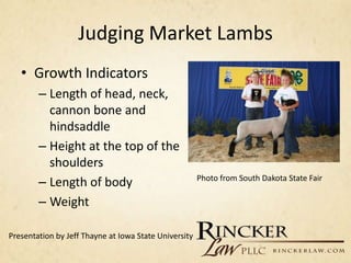 Overview of Livestock Judging | PPTX