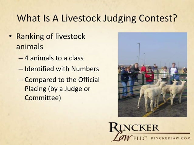 Overview of Livestock Judging | PPTX