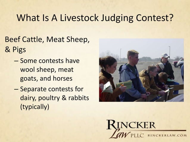 Overview of Livestock Judging | PPTX