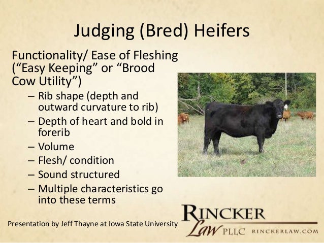 Overview of Livestock Judging