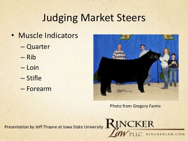 Overview of Livestock Judging