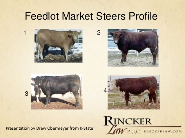 Overview of Livestock Judging