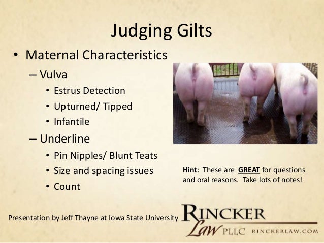 Overview of Livestock Judging