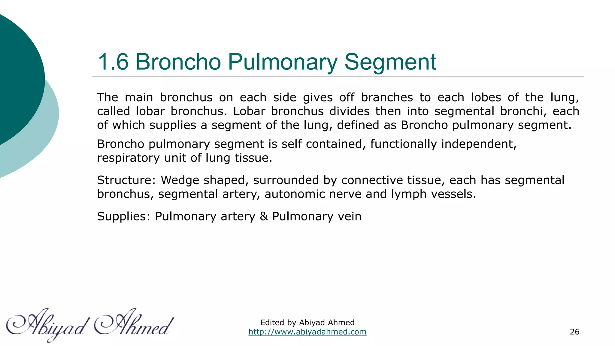 Overview of lungs | PPTX
