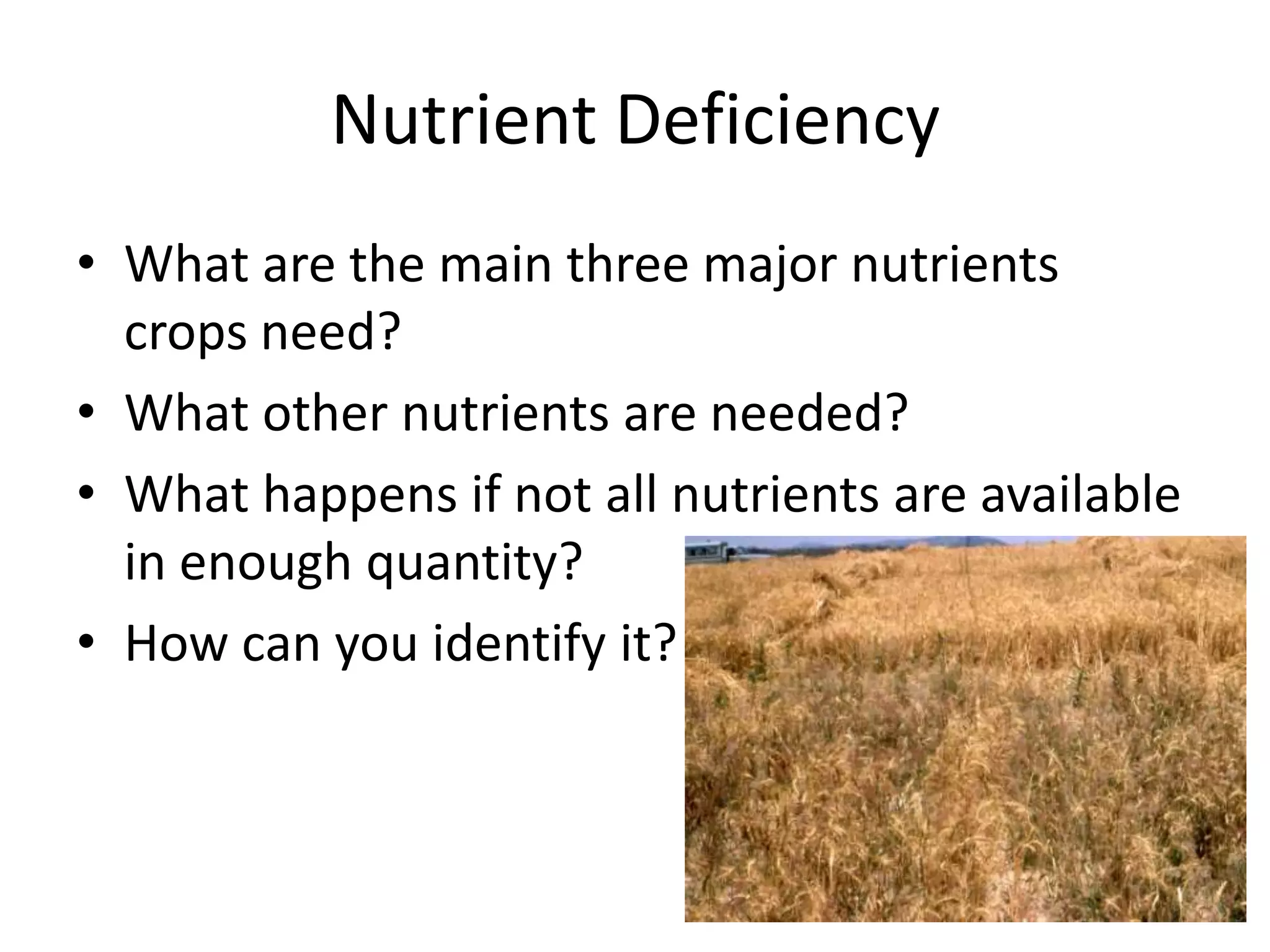 Overview of maintaining healthy growth of crops | PPT