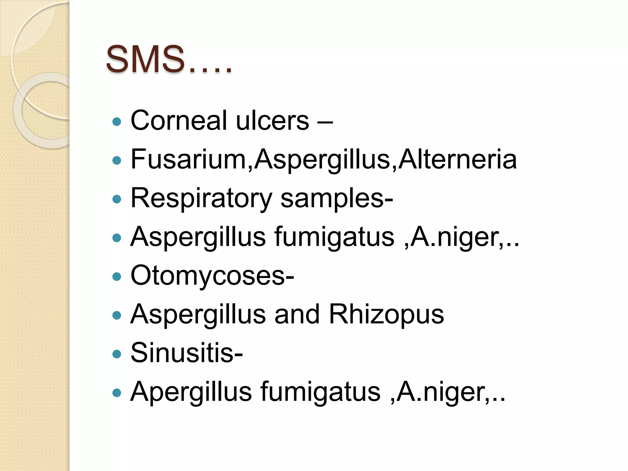 Overview of medical mycology | PPTX | Skin and Dermatology | Diseases and Conditions