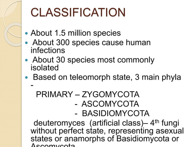 Overview of medical mycology | PPTX | Skin and Dermatology | Diseases and Conditions