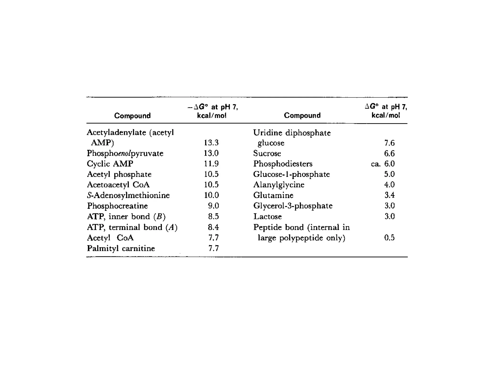 Overview of metabolism.ppt