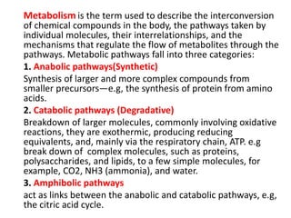 Overview of metabolism & glycolysis lec 2 4 | PPT