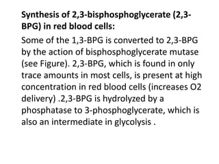 Overview of metabolism & glycolysis lec 2 4 | PPT