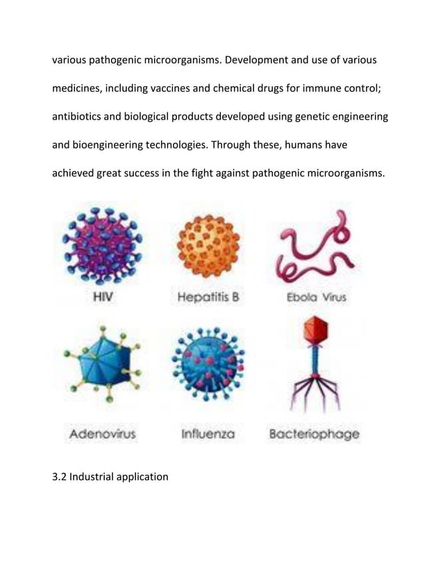 Microbiology Medical Subject Department Development - www.biomed.fit