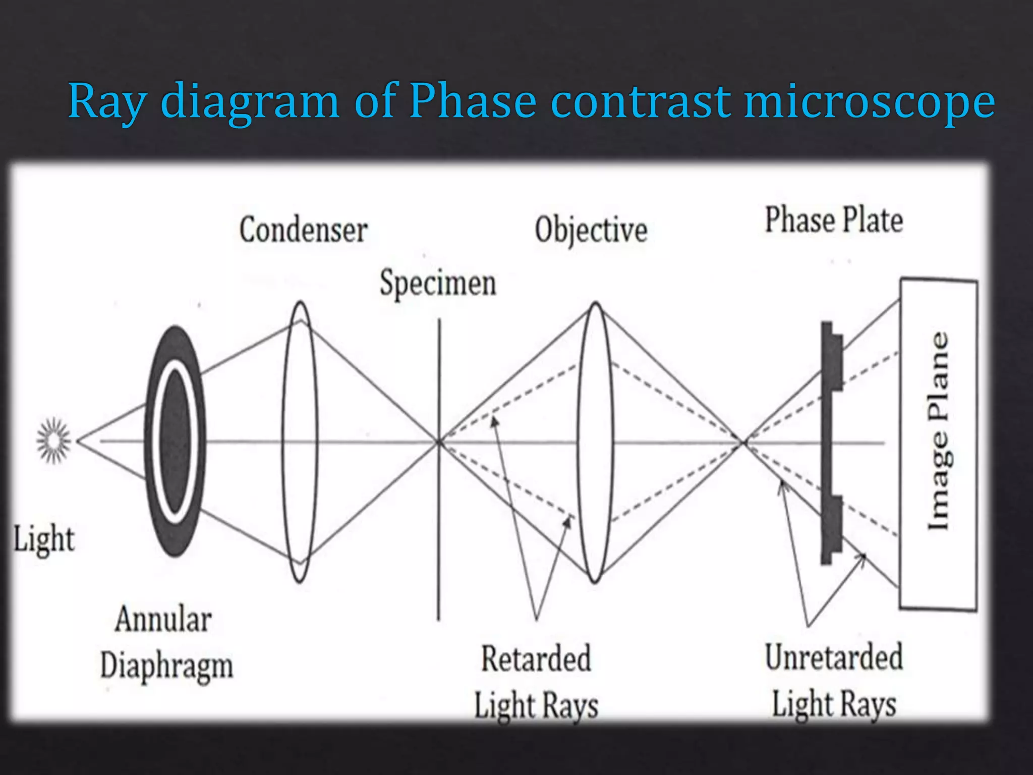 Overview of Microscopic techniques | PPTX