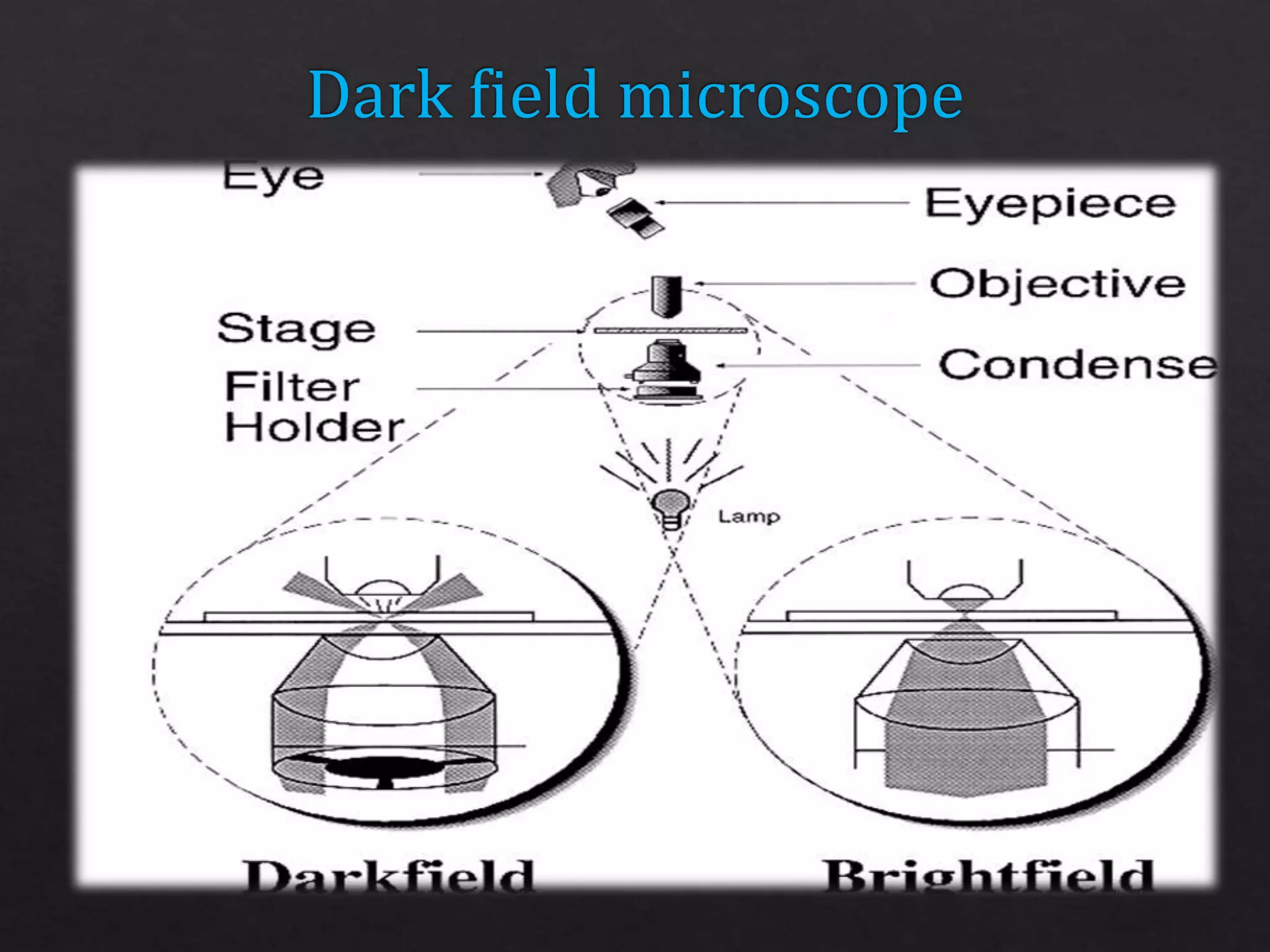 Overview of Microscopic techniques | PPTX