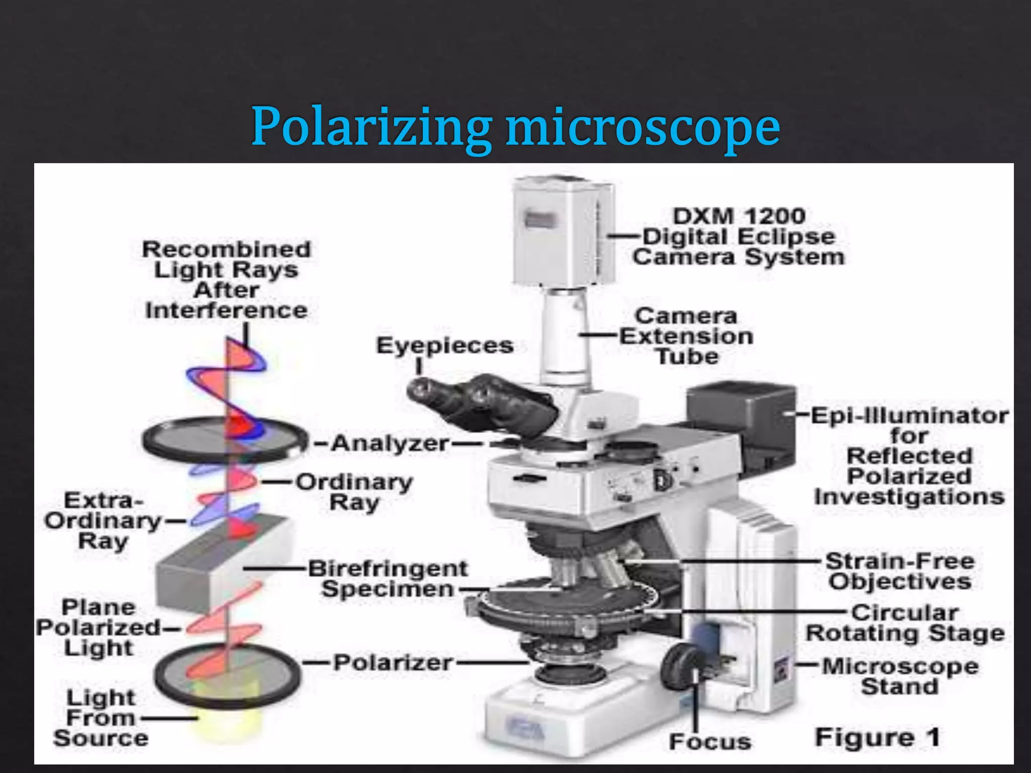 Overview of Microscopic techniques | PPTX
