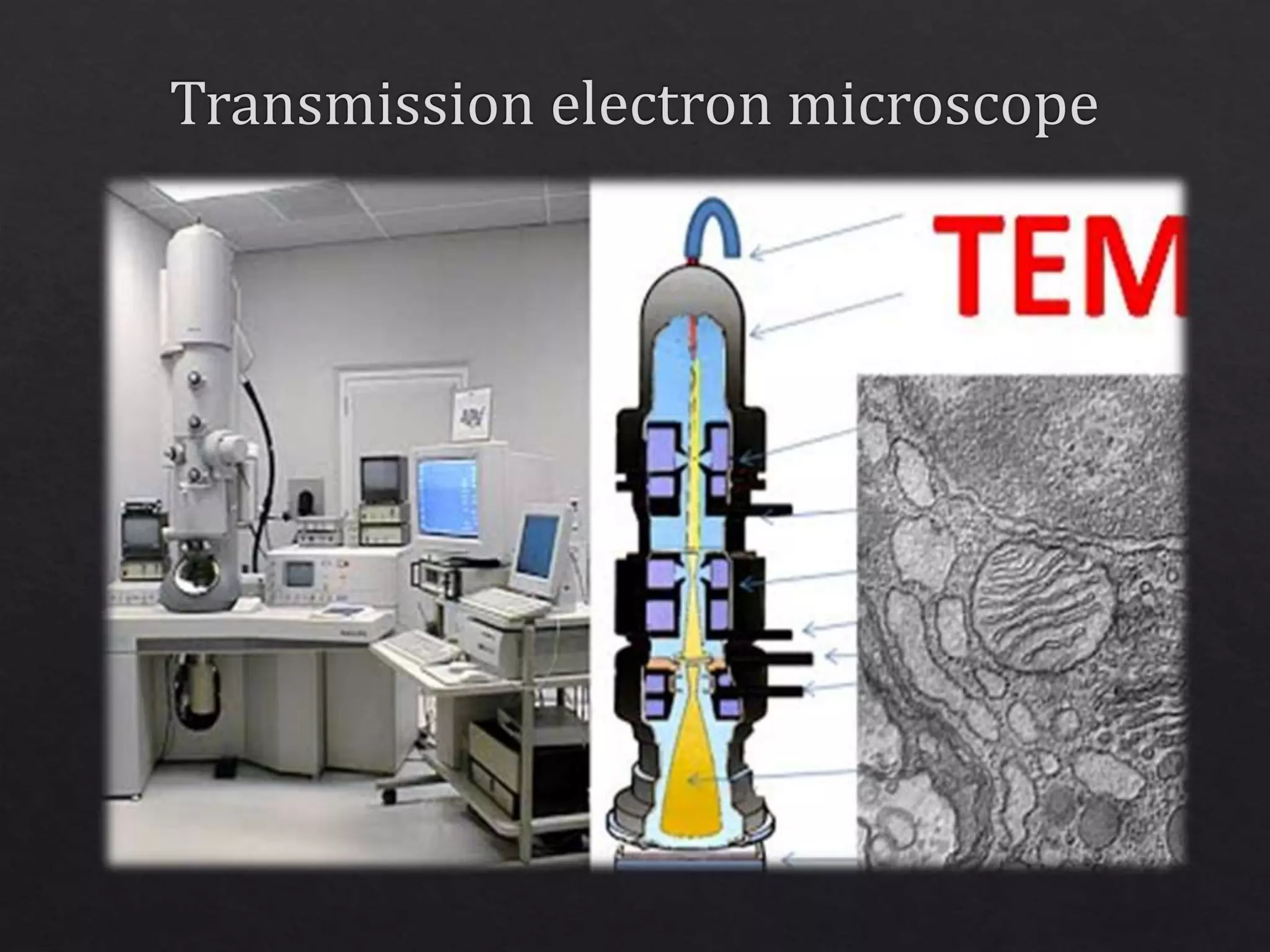 Overview of Microscopic techniques | PPTX