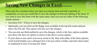 Microsoft Excel | PDF