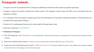 Overview of Modern Drug Discovery Process-1.pptx
