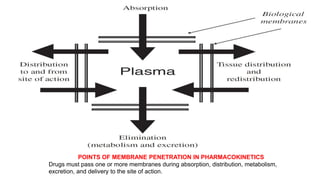 Overview of movement of drug molecules across cell membrane.pptx