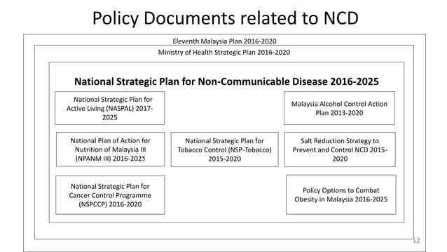 Overview of Non-Communicable Diseases Policies in Malaysia | PPTX