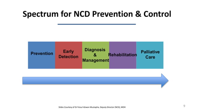 Overview of Non-Communicable Diseases Policies in Malaysia | PPTX