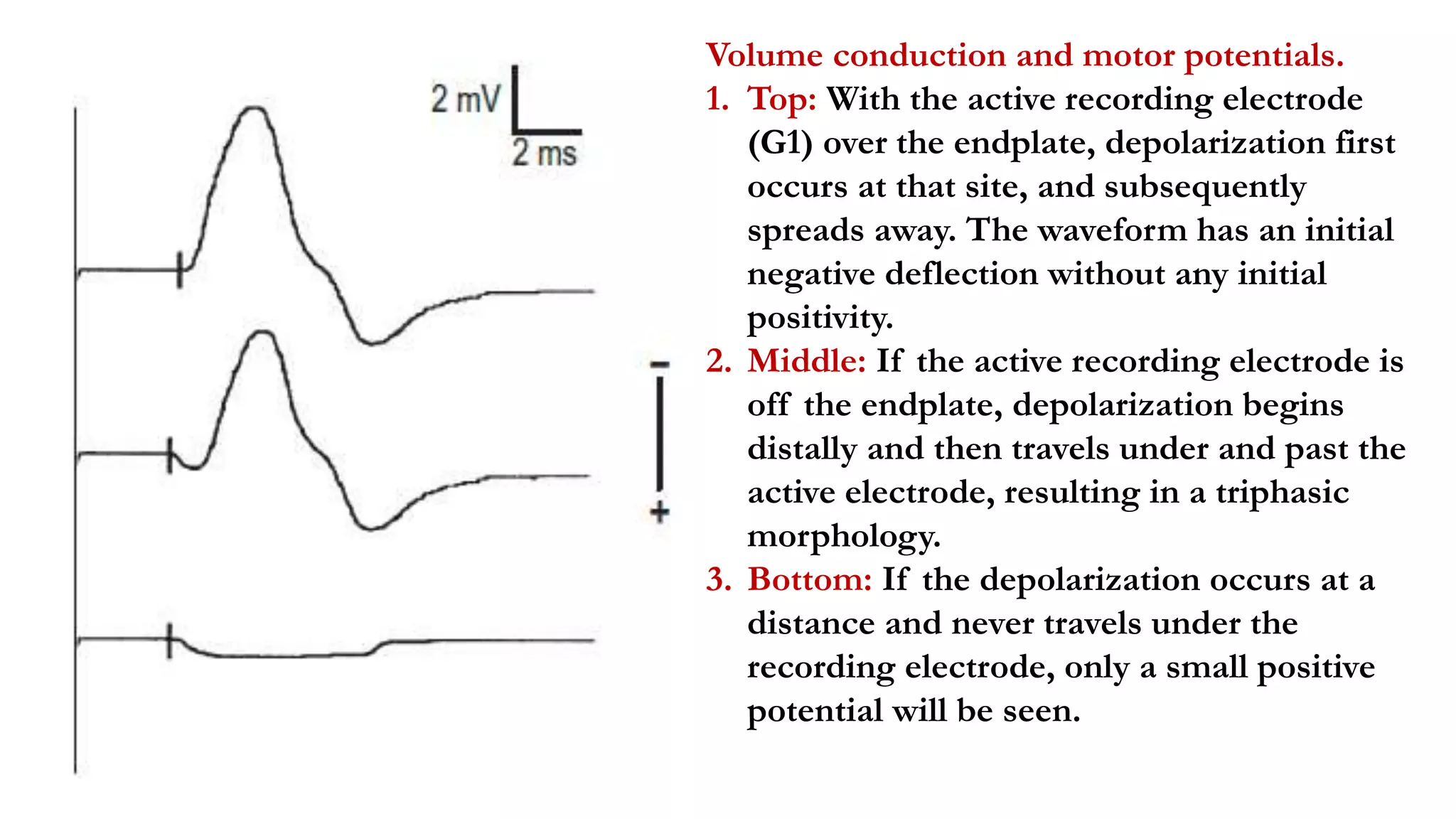Overview of Nerve Conduction Study | PPTX