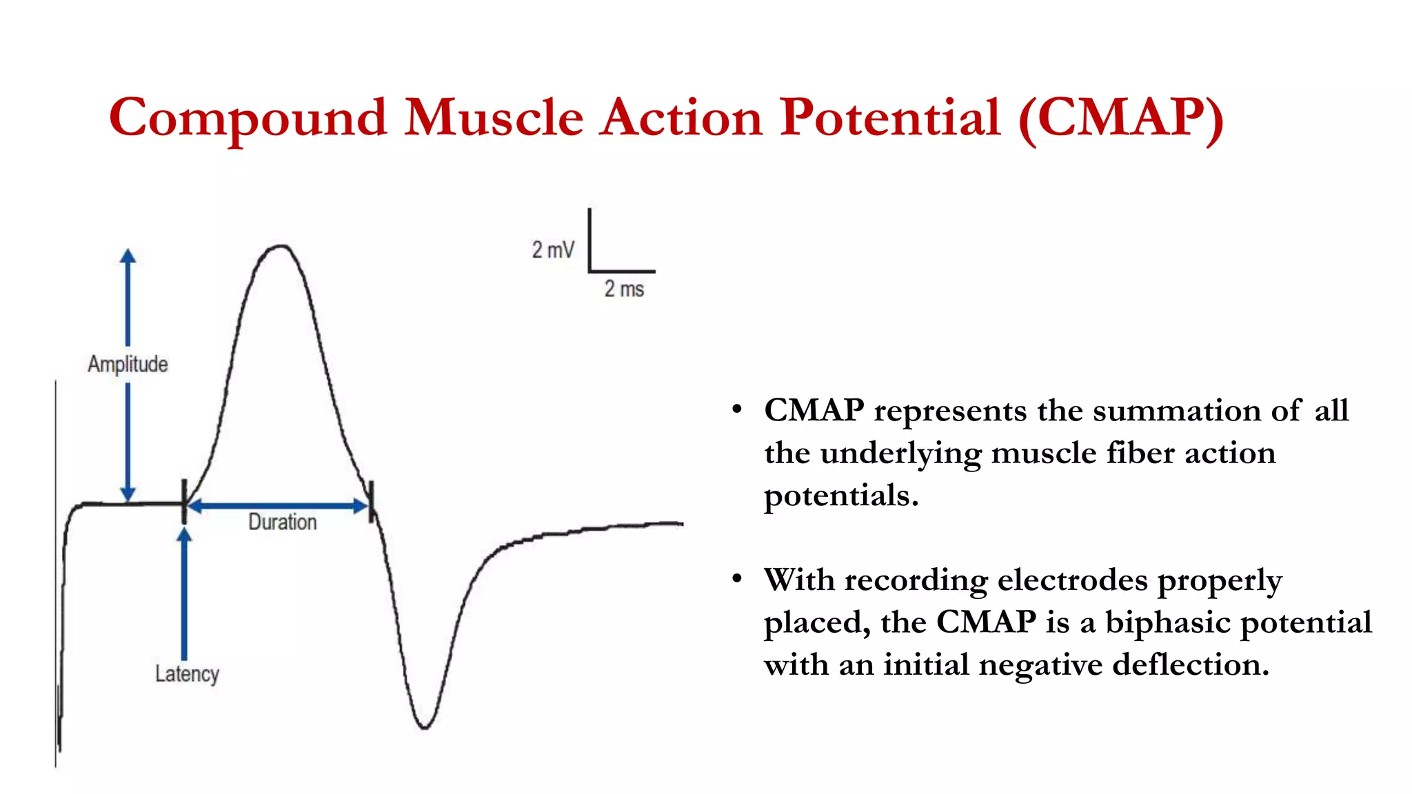 Overview of Nerve Conduction Study | PPTX