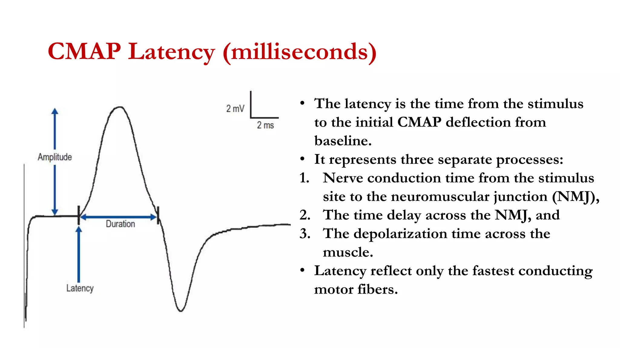 Overview of Nerve Conduction Study | PPTX