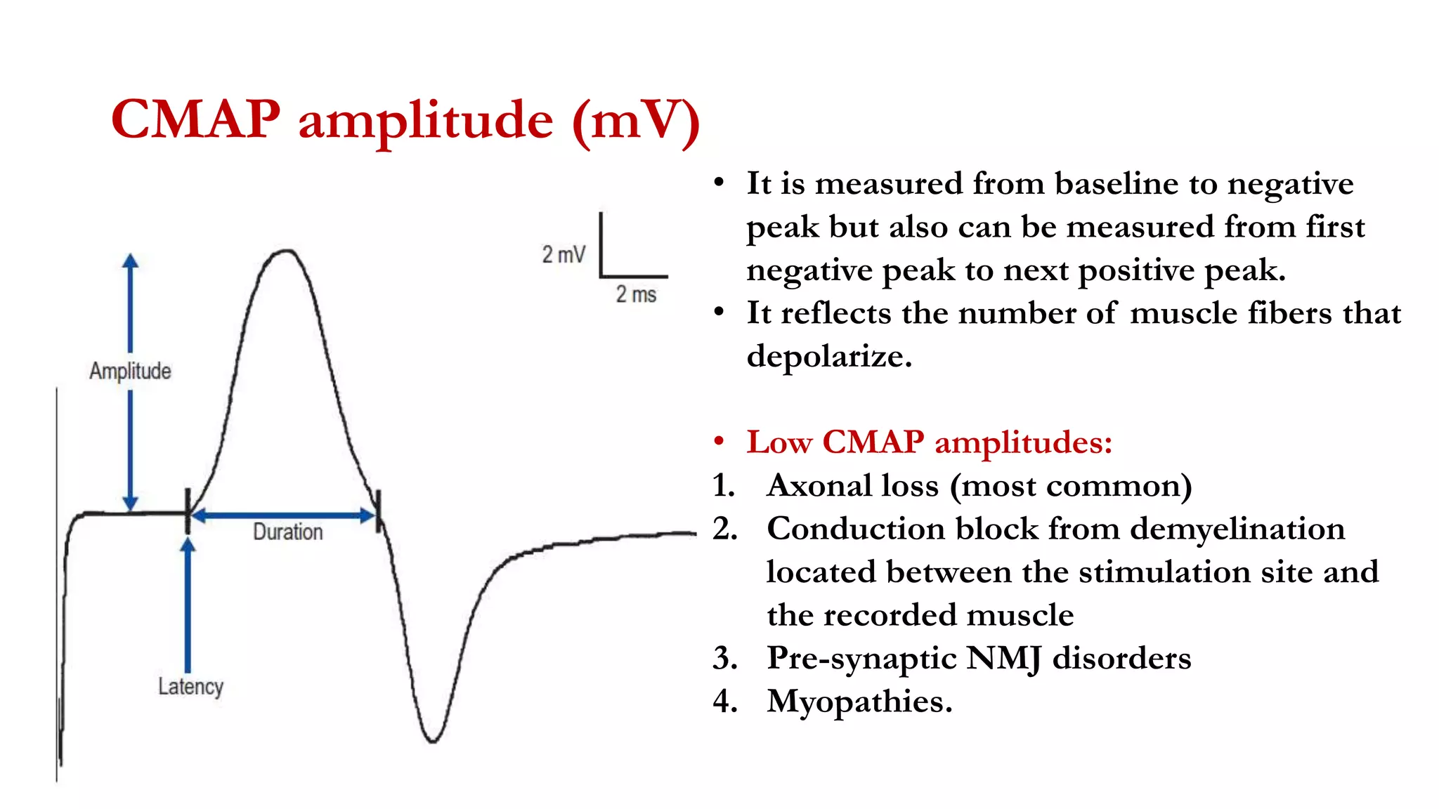 Overview of Nerve Conduction Study | PPTX