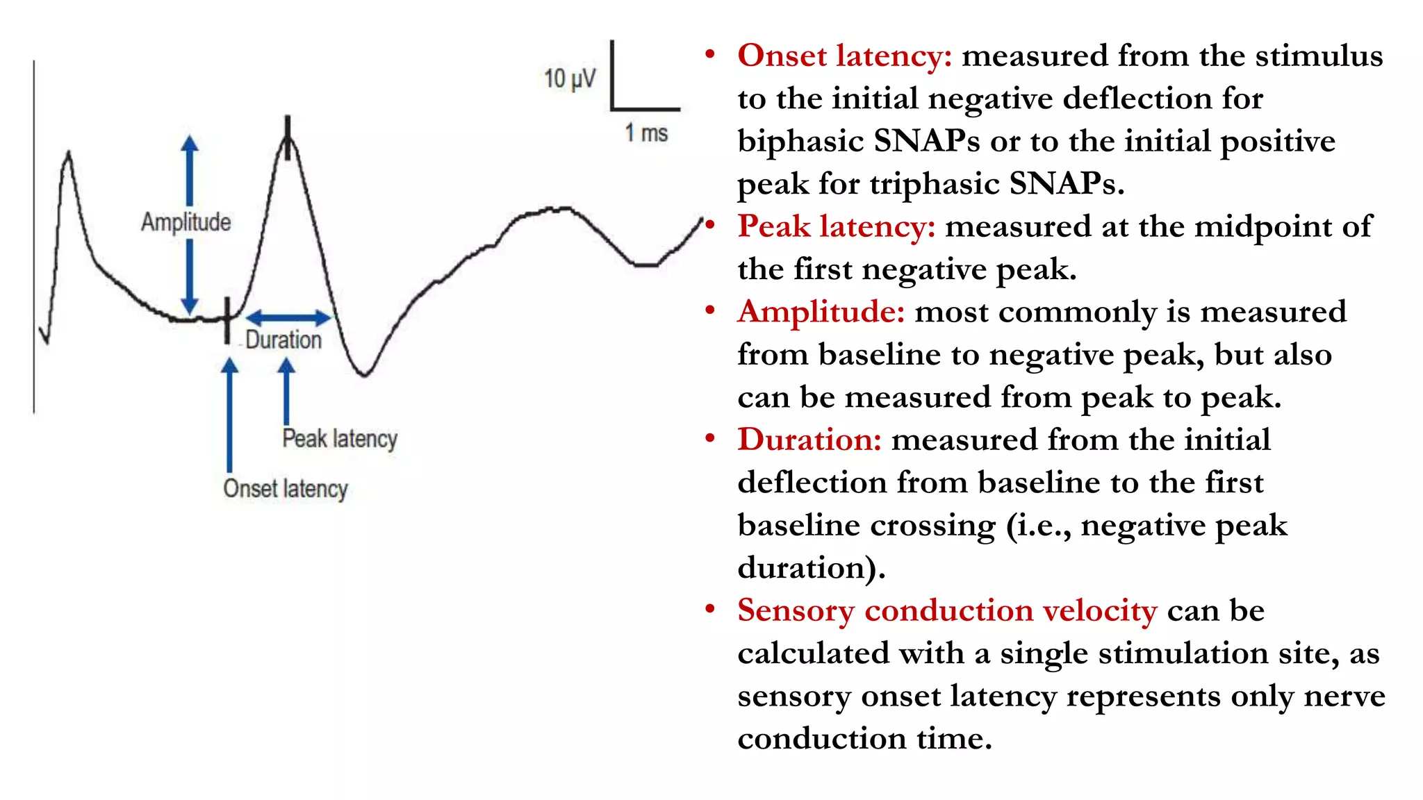 Overview of Nerve Conduction Study | PPTX