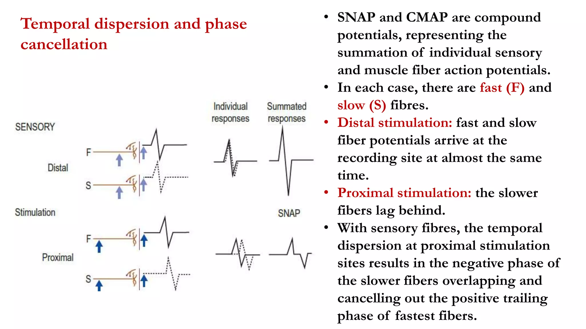 Overview of Nerve Conduction Study | PPTX