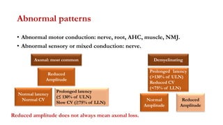 Overview of Nerve Conduction Study | PPT