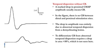 Overview of Nerve Conduction Study | PPT