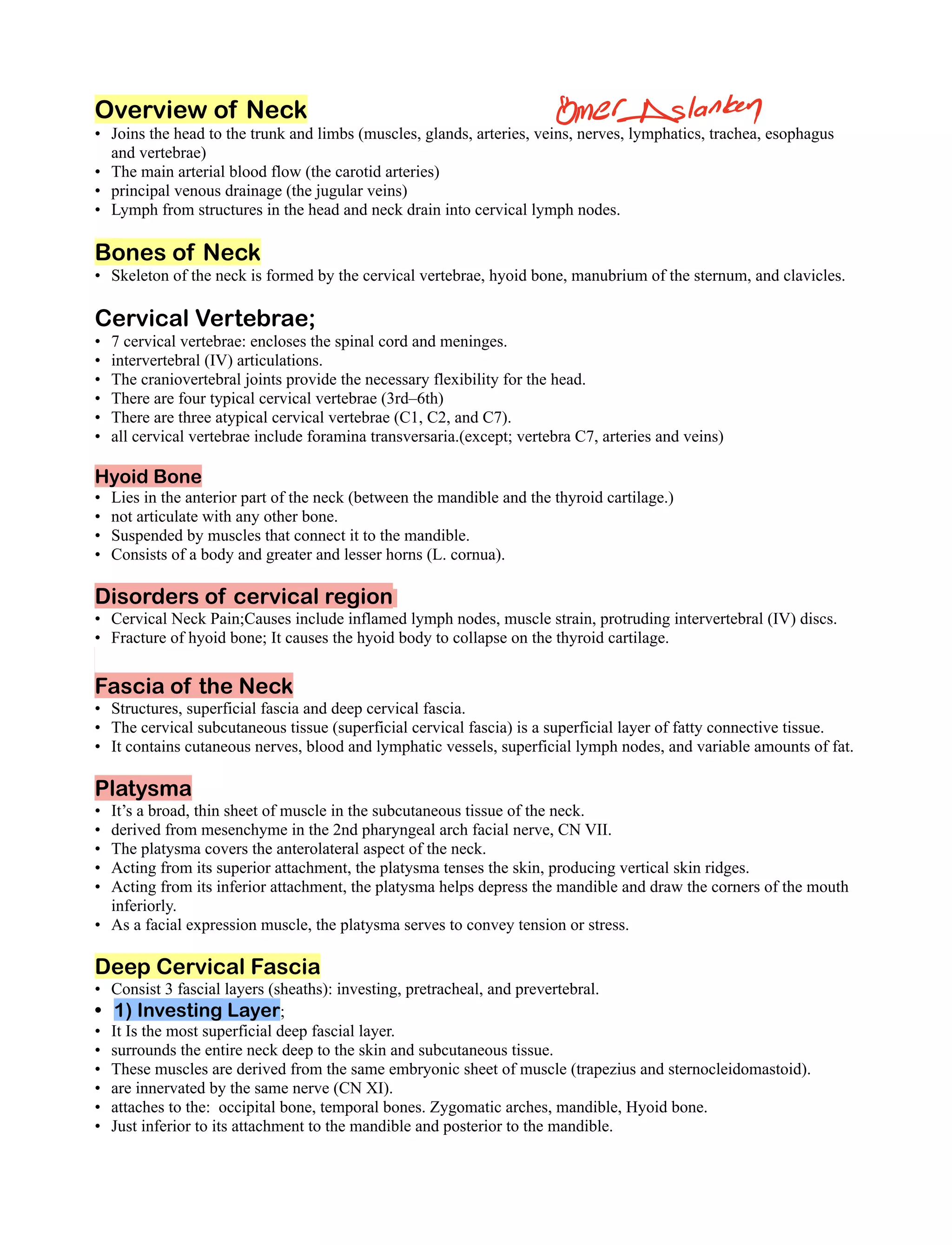 Overview of Neck.pdf