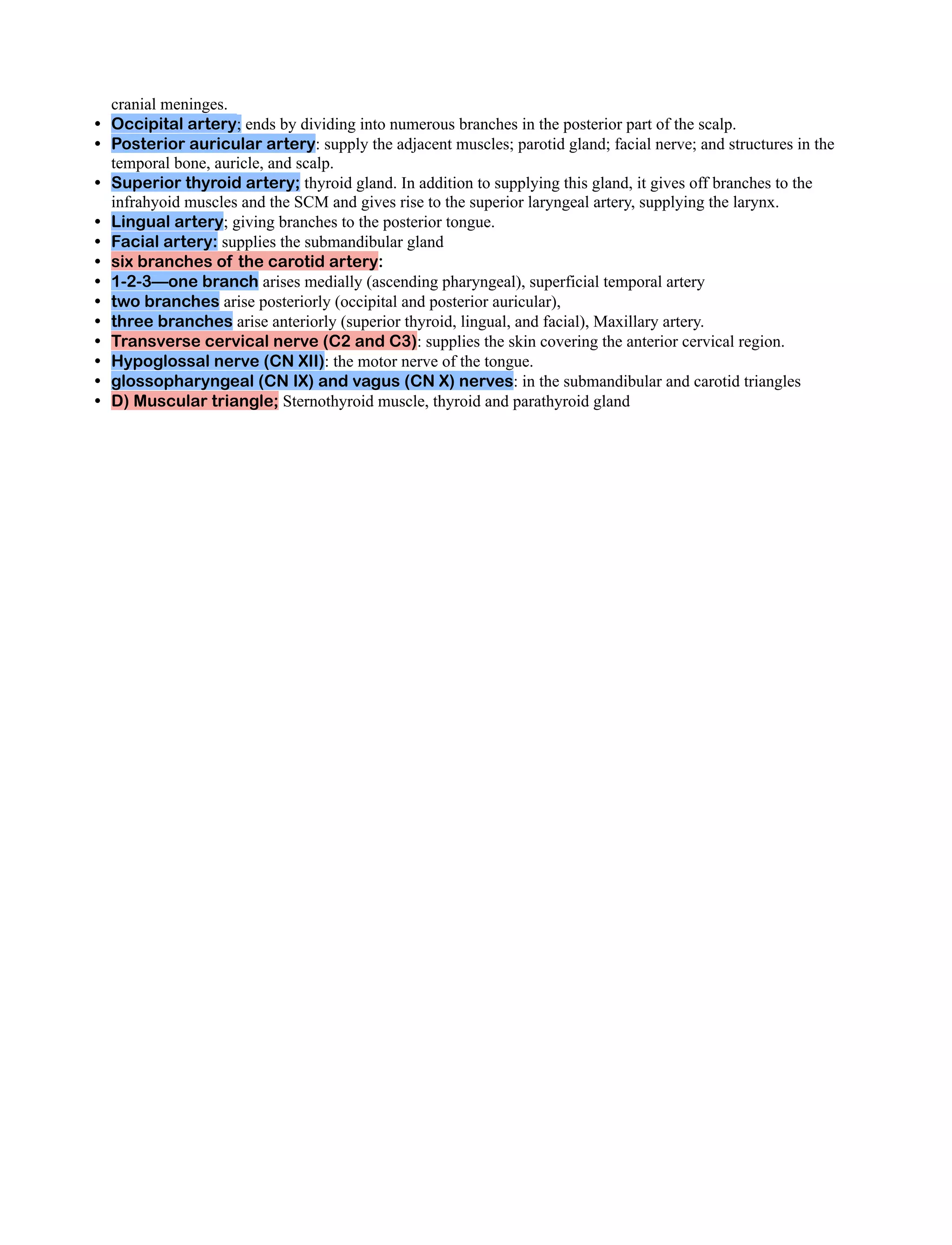 Overview of Neck.pdf