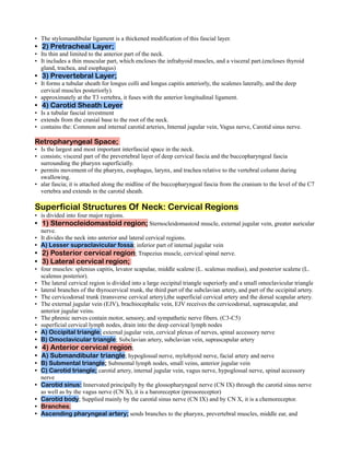 Overview of Neck.pdf