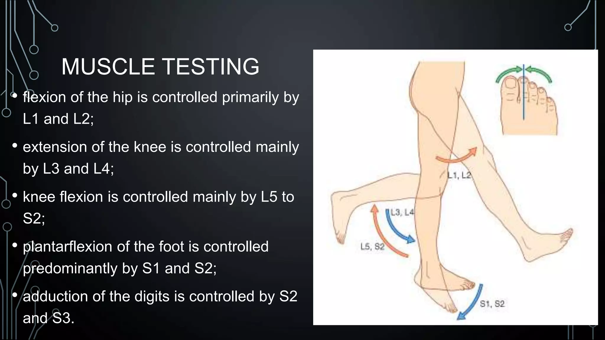 Overview of nervous system | PPTX