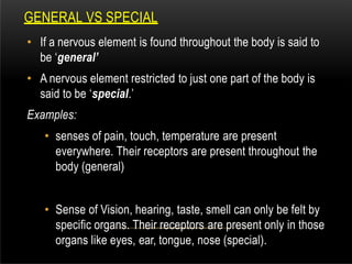overview of nervous system.pptx