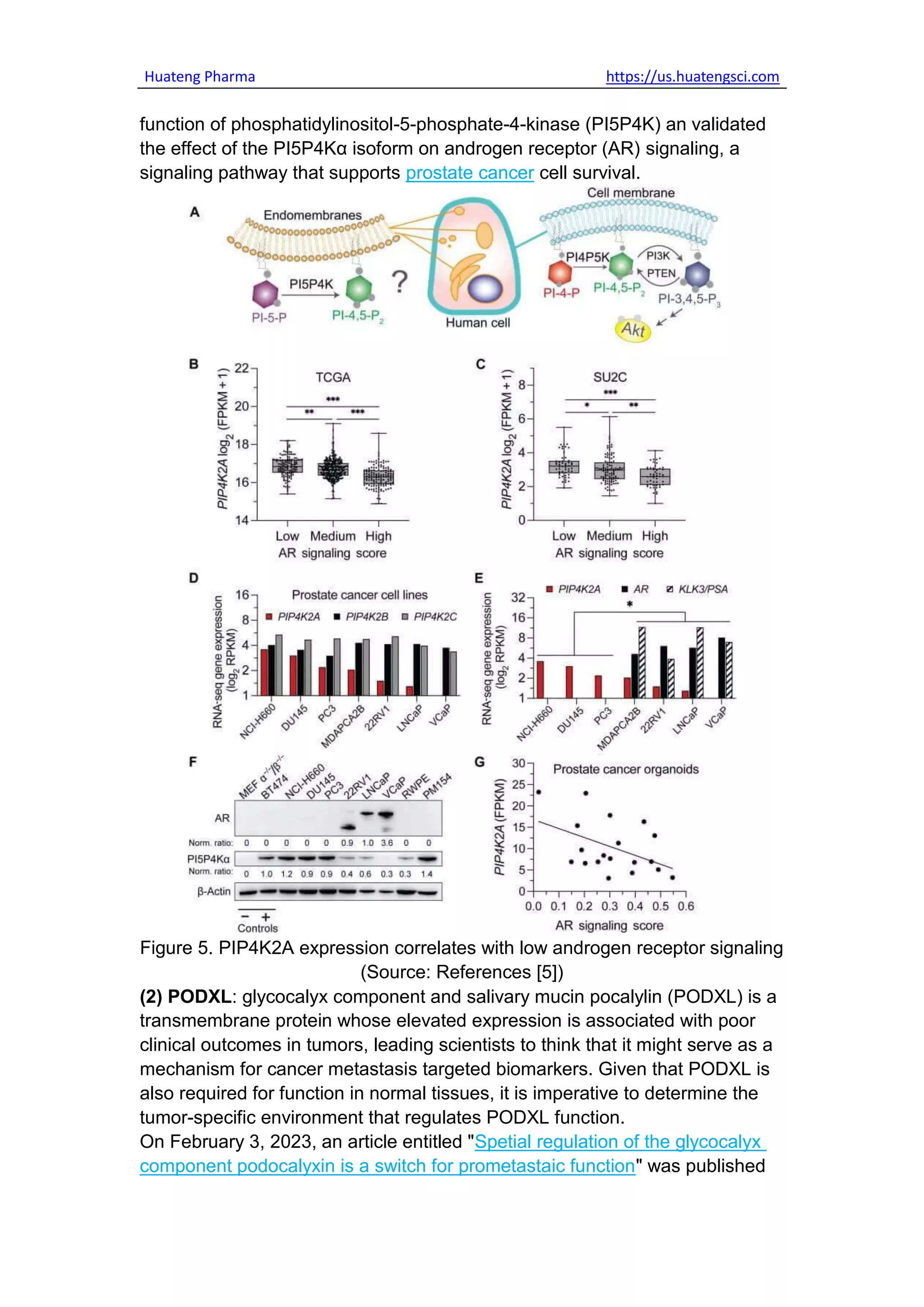 Overview of New Targets For Anti-tumor Drugs.pdf