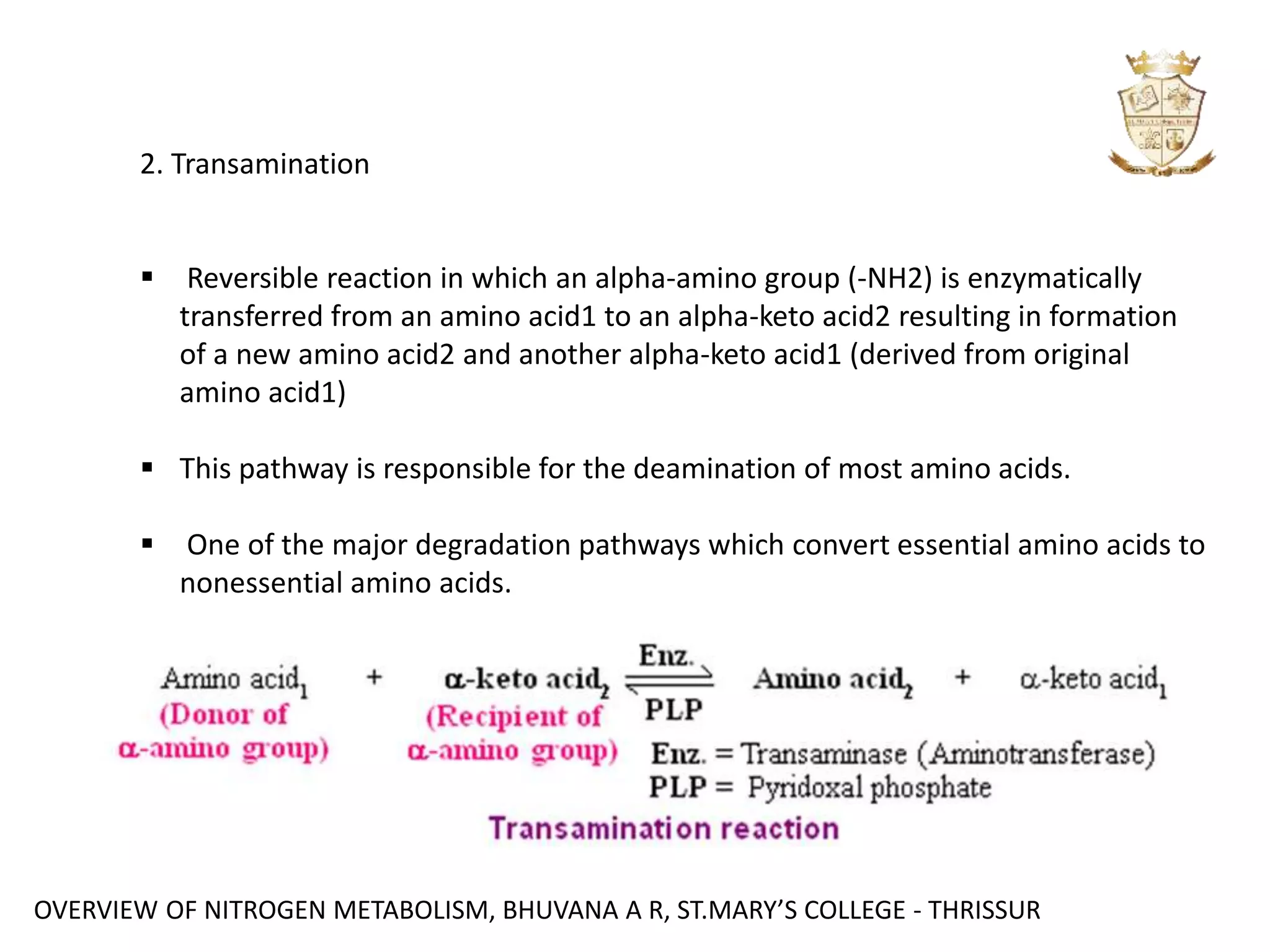 Overview of nitrogen metabolism | PPTX