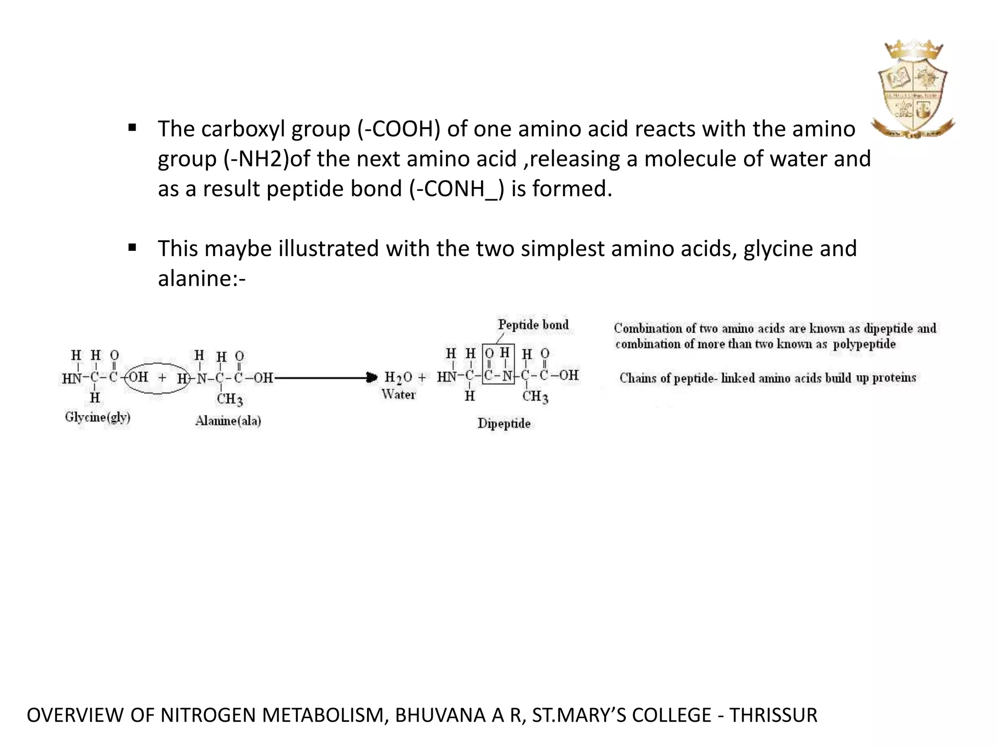 Overview of nitrogen metabolism | PPTX