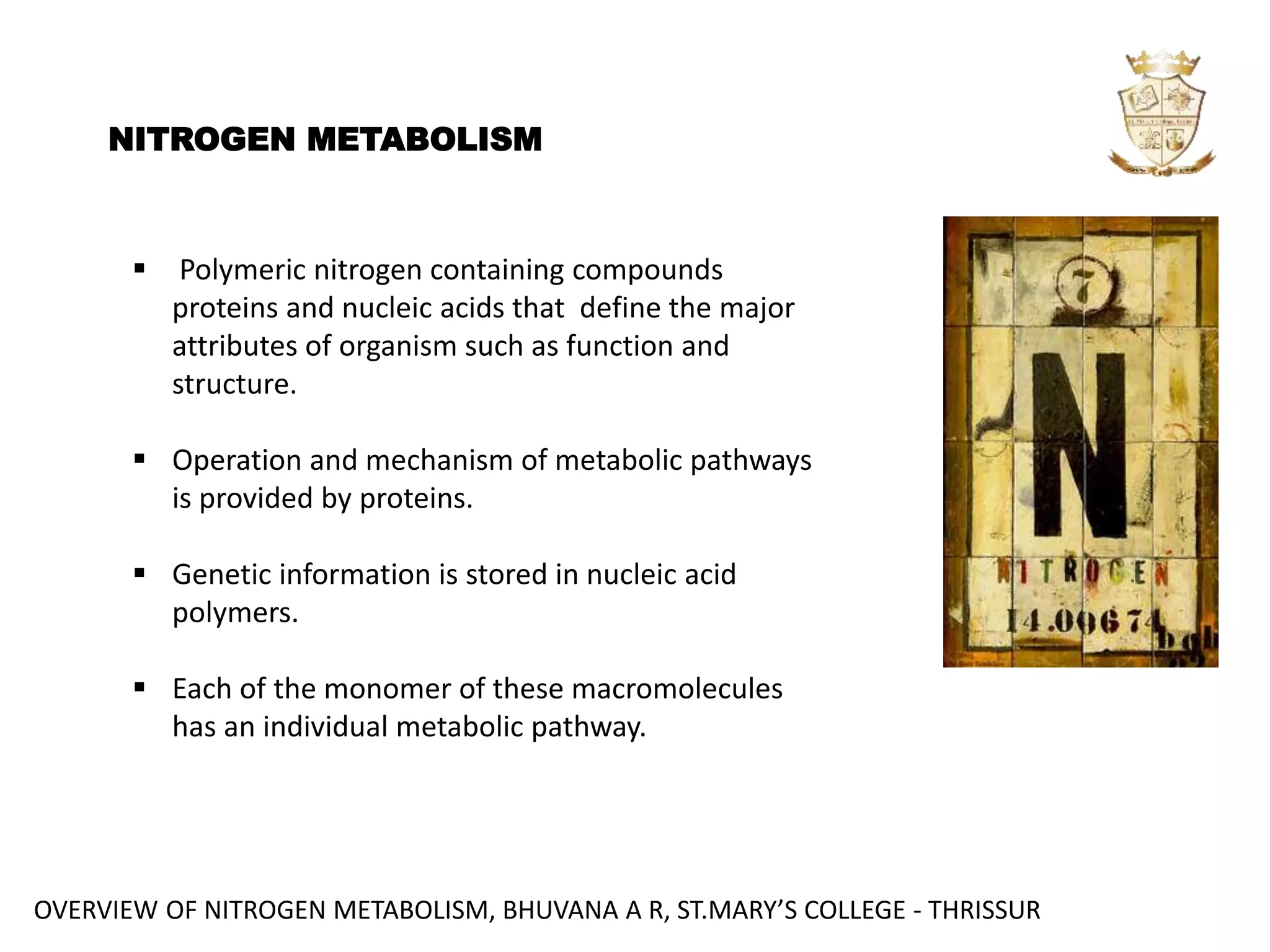 Overview of nitrogen metabolism | PPTX