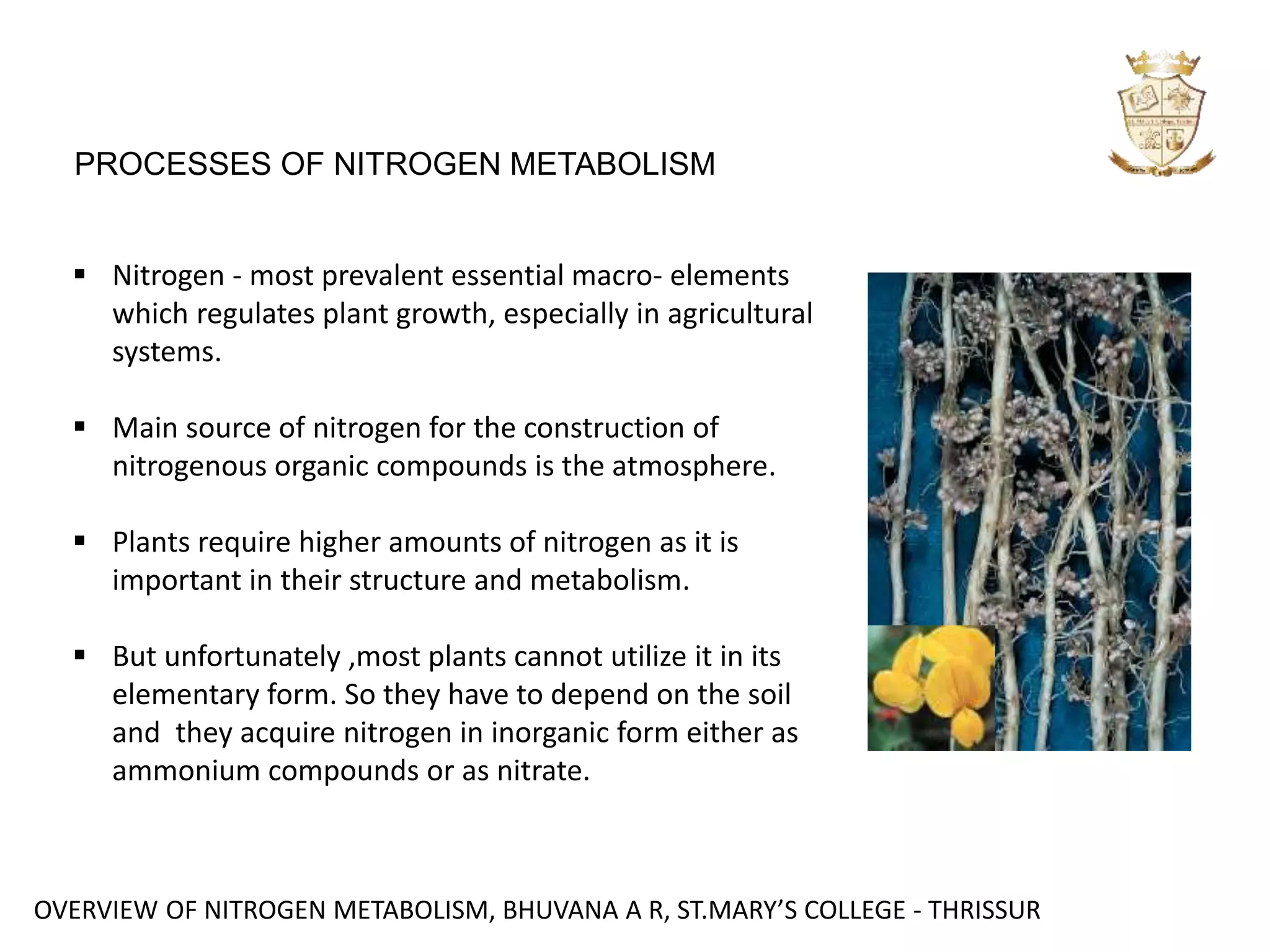 Overview of nitrogen metabolism | PPTX