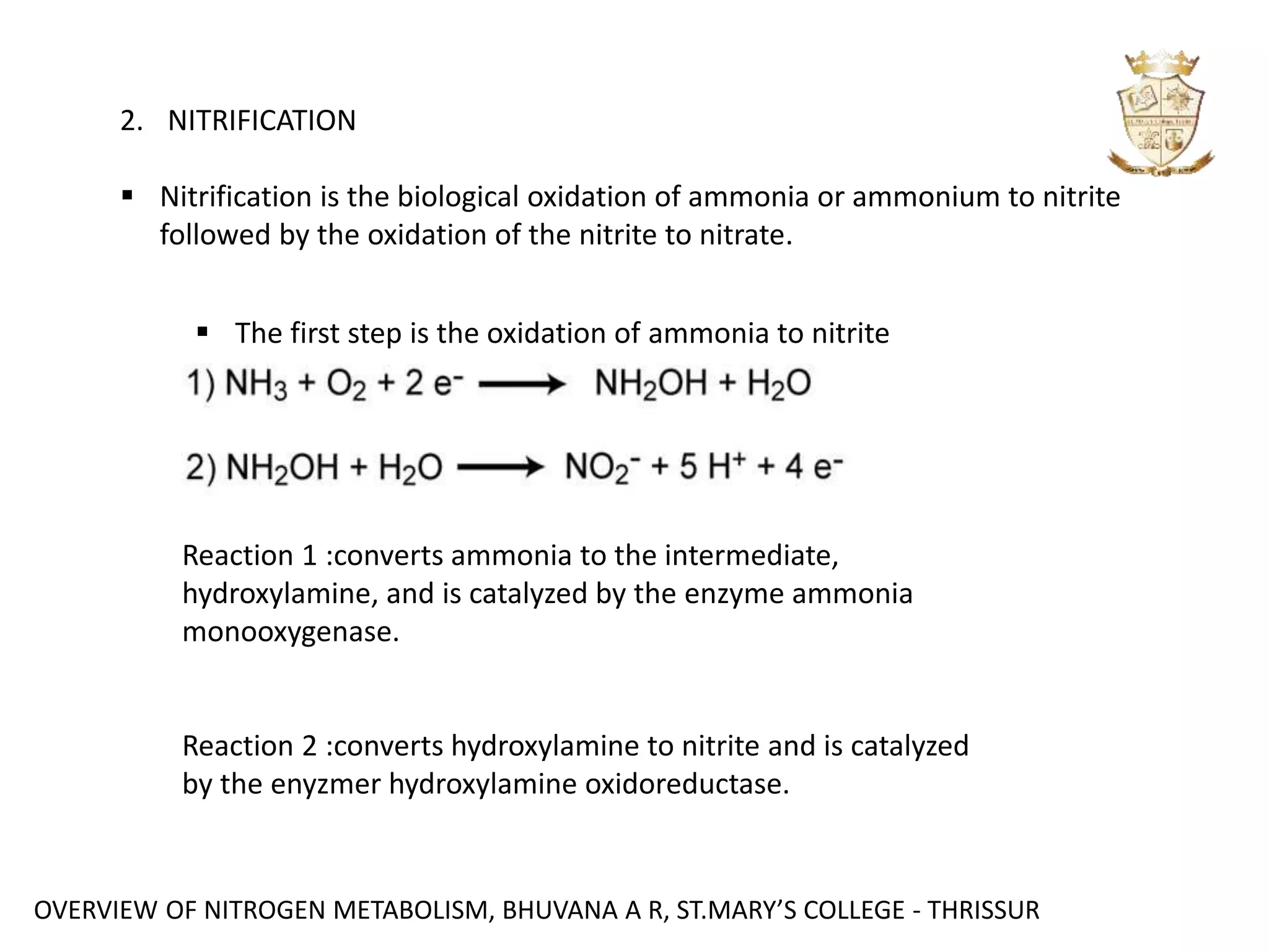 Overview of nitrogen metabolism | PPTX