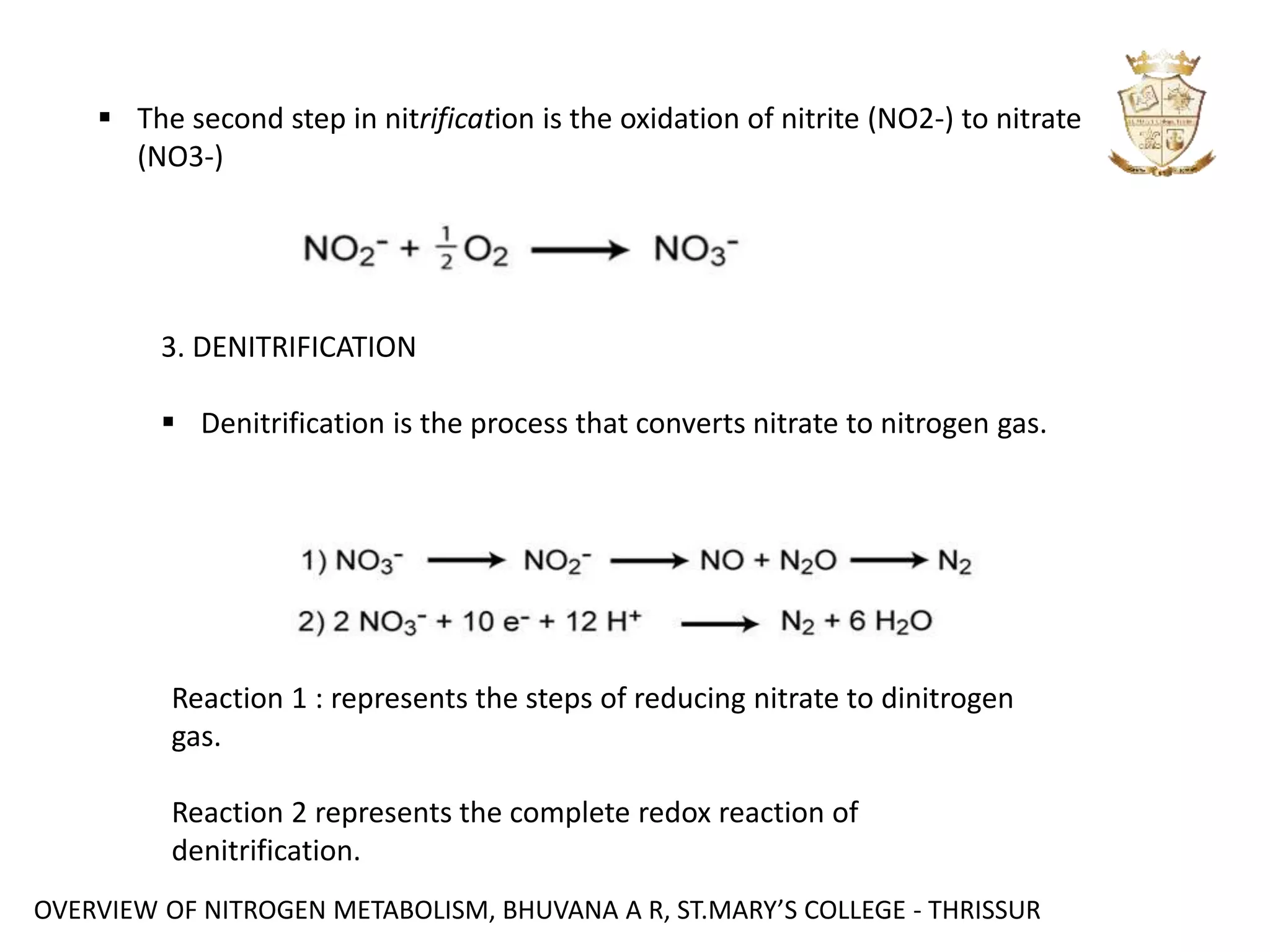 Overview of nitrogen metabolism | PPTX