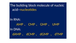 OVERVIEW OF NUCLEIC ACIDS STRUCTURE & FUNCTION-OPM2.pptx