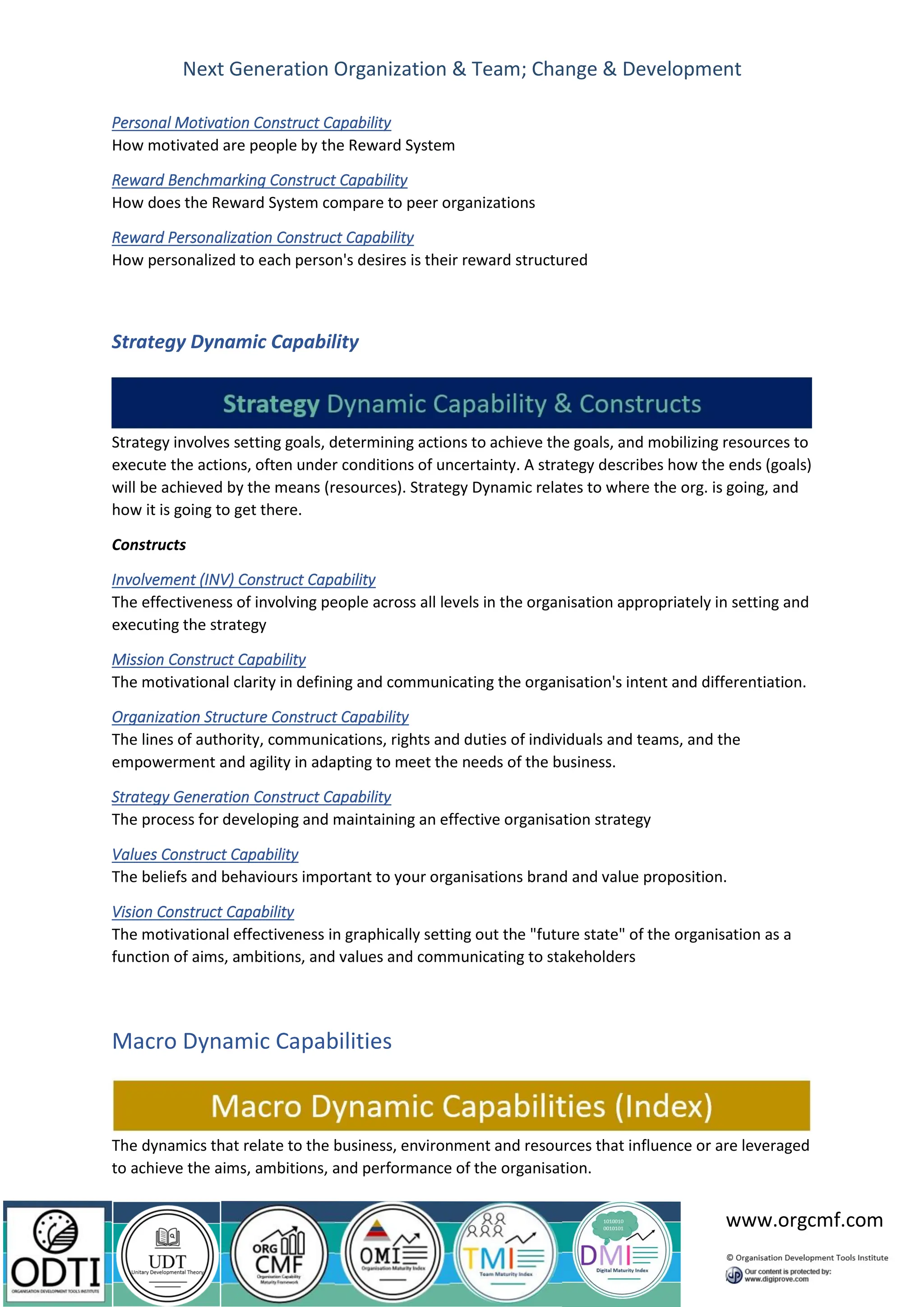 Overview of The Organization Maturity Index | PDF