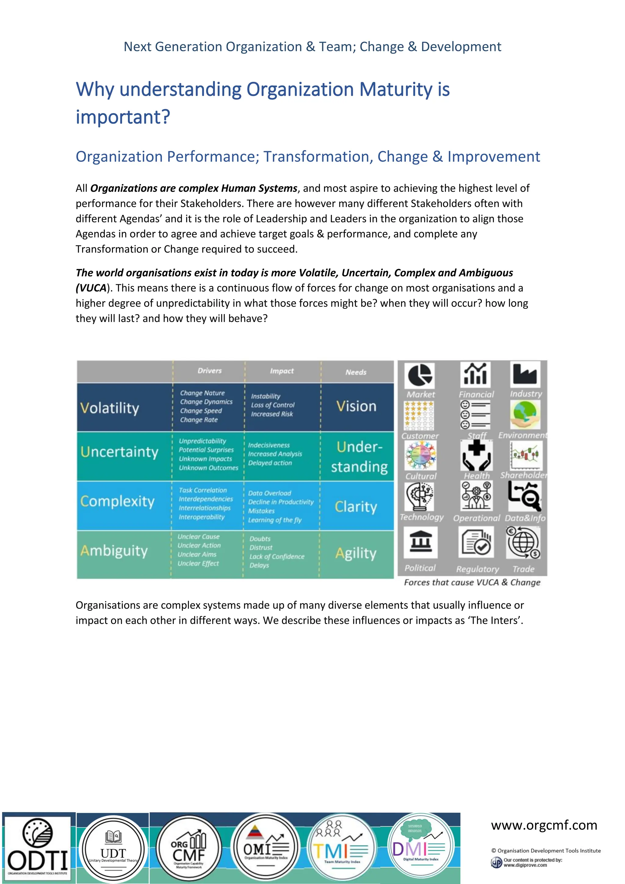 Overview of The Organization Maturity Index | PDF