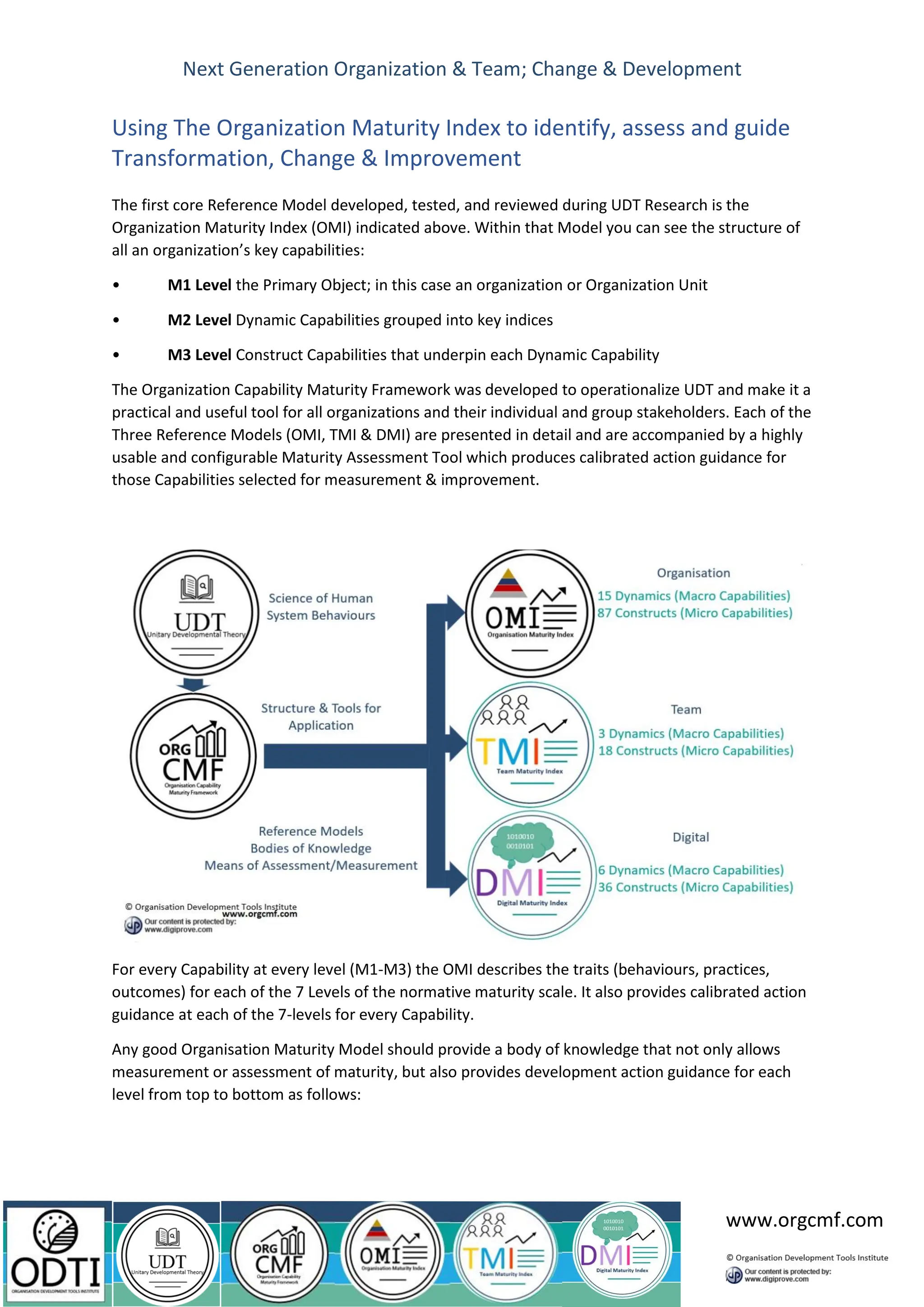 Overview of The Organization Maturity Index | PDF