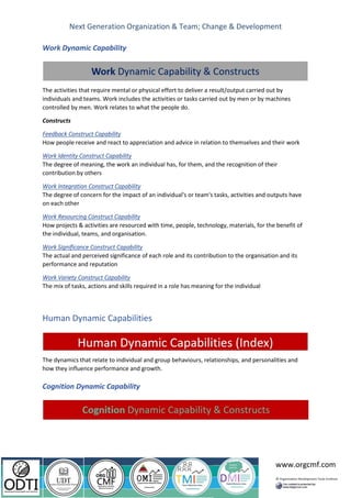 Overview of The Organization Maturity Index | PDF